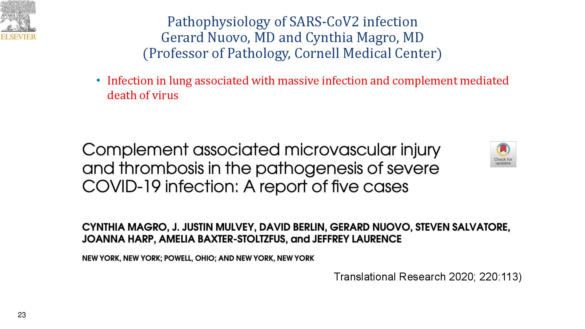 23 Pathophysiology of SARS - CoV2 infection Gerard Nuovo, MD and ...